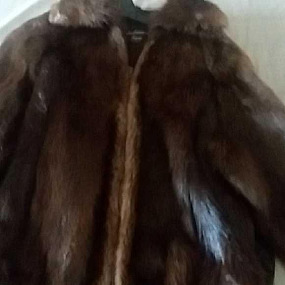Andriana Furs | Other | Canadian Beaver Fur | Poshmark